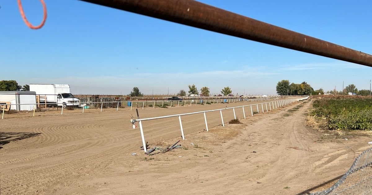 Federal judge orders release of 16 migrants detained in Idaho raid ...