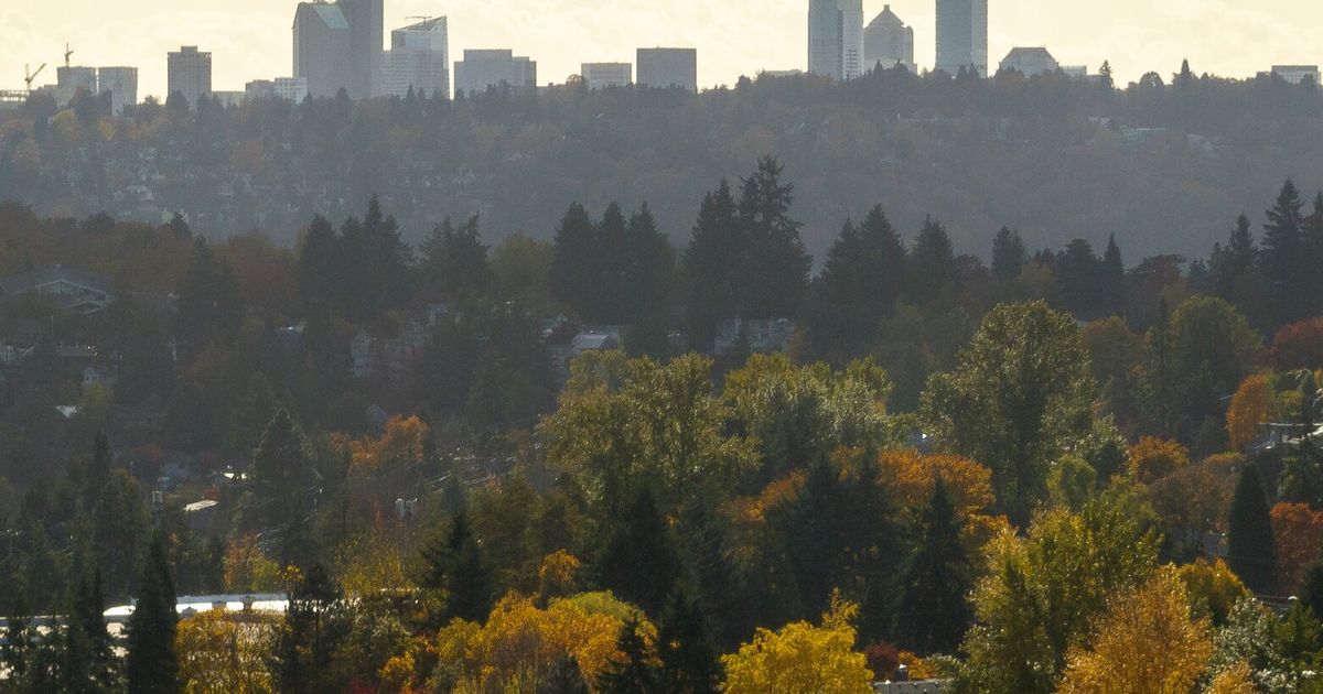Seattle voters aren’t fickle; we know we want nice things | The Seattle ...