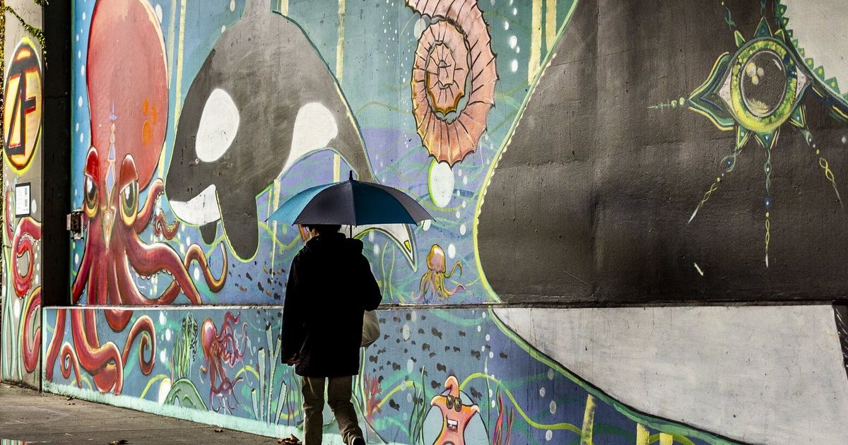 Seattle weather: A quick break from rain, then a return to dampness ...