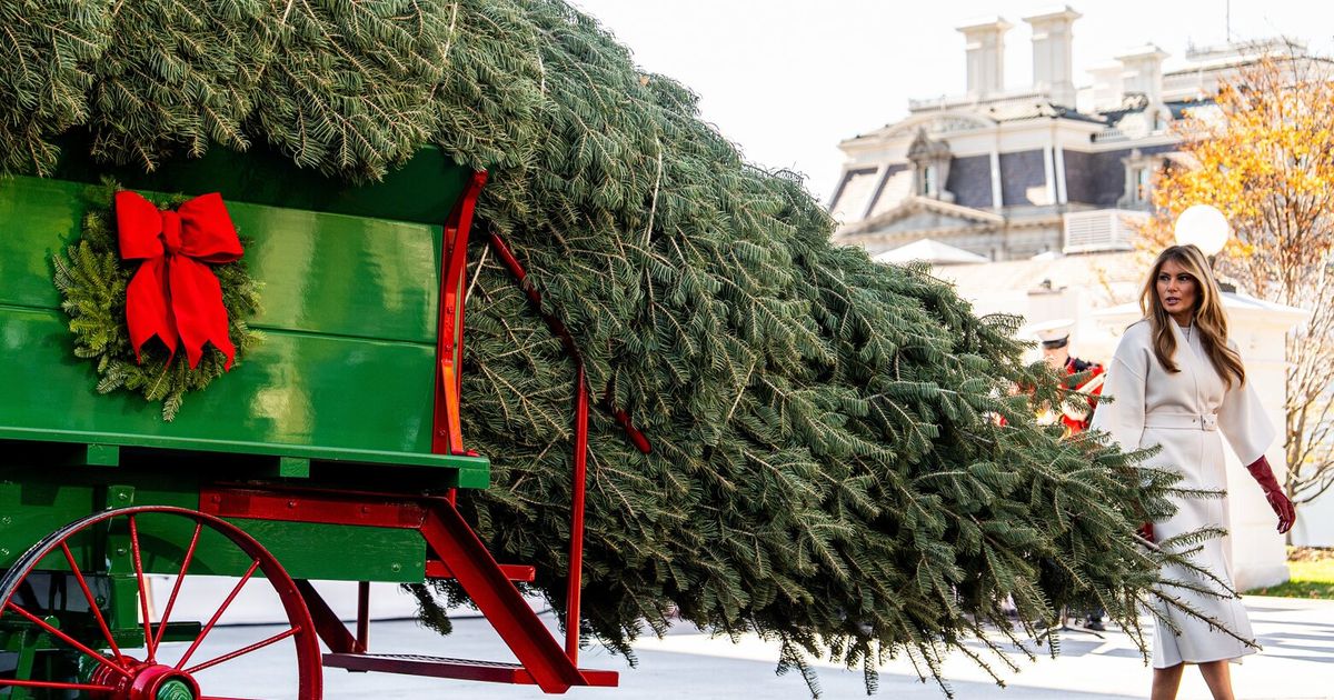 Melania Trump welcomes Christmas tree to the White House | The Seattle ...