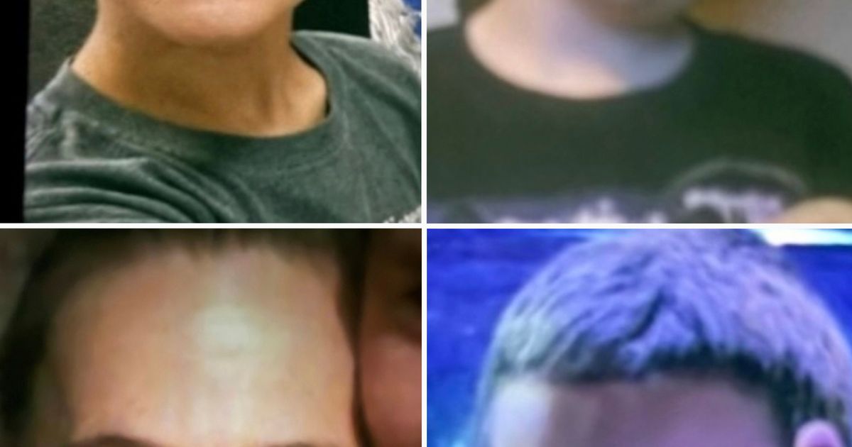 Rescuers find grandmother and 3 grandchildren who went missing on a ...