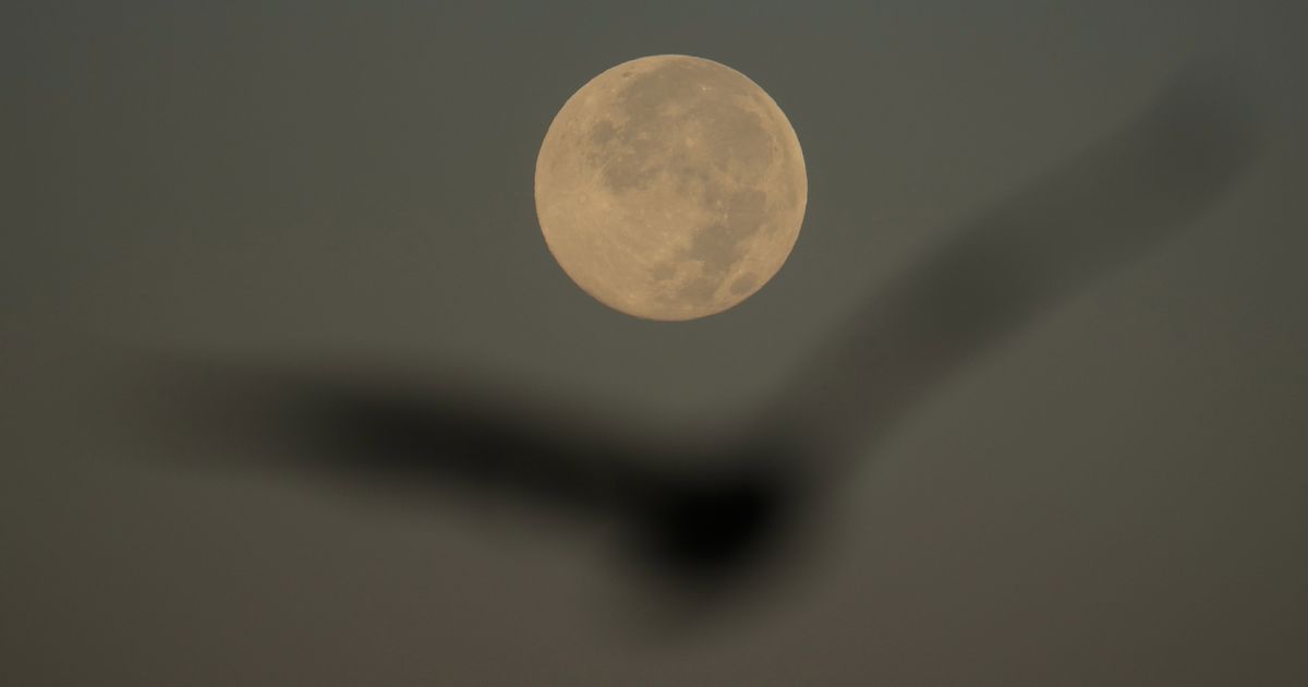 How to spot November’s supermoon, the closest of the year | The Seattle ...