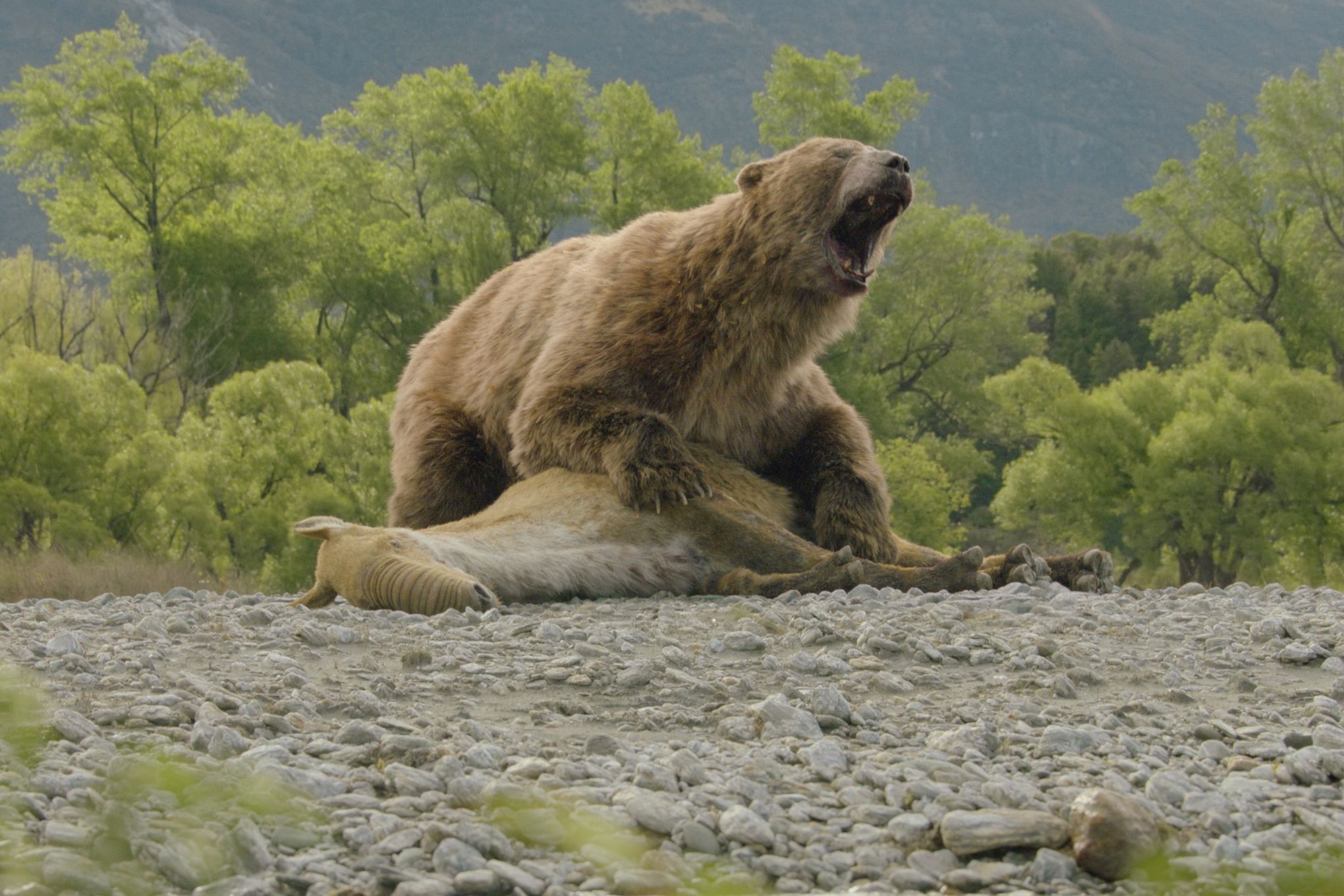 Pregistoric Giant Bear