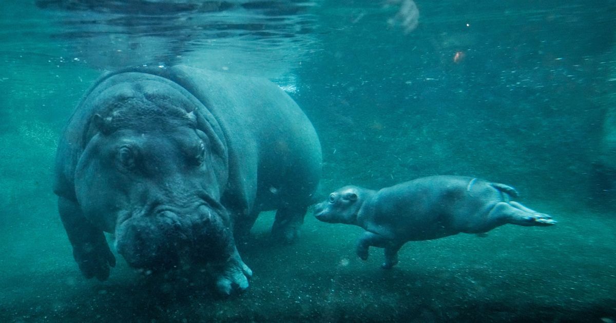 The top photos of the day by AP’s photojournalists | The Seattle Times