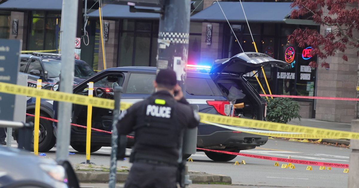 Man allegedly brandishing gun shot and killed by Seattle police | The ...