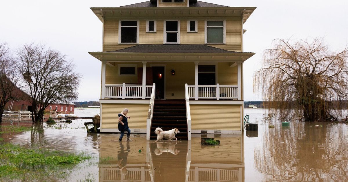 Photos: Rivers crest as flooding continues in Western WA | The Seattle ...