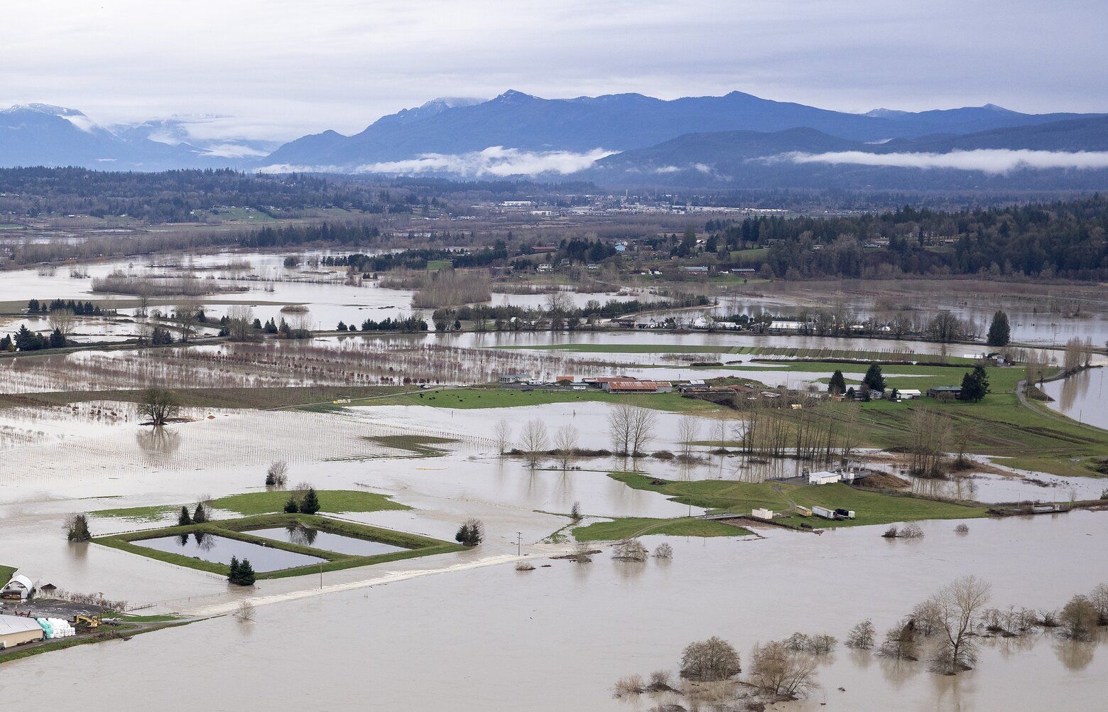 Hannah Furfaro | The Seattle Times