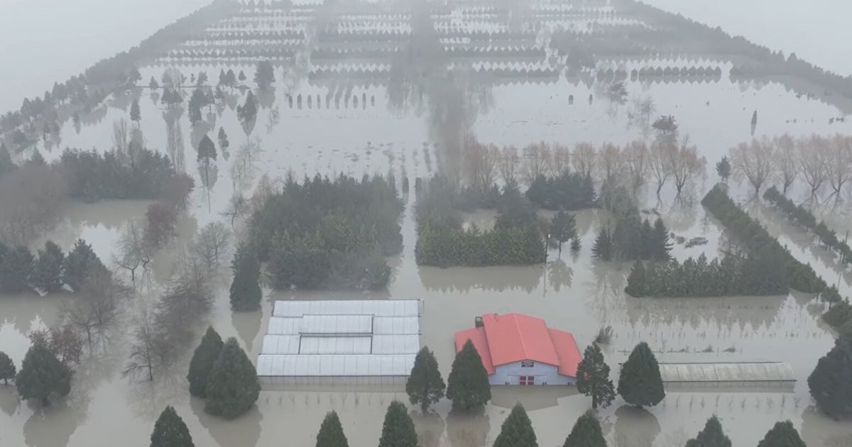 WA floods hit many uninsured small farms with ‘varied’ damages | The ...