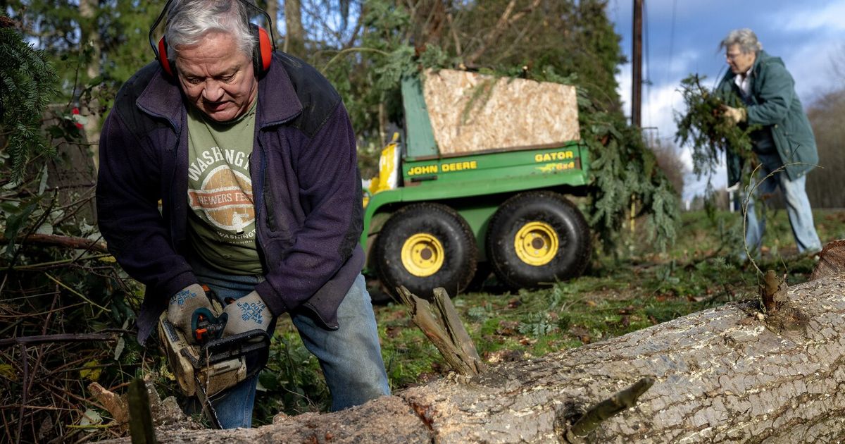 Photos: Western WA recovers from power outages, flooding | The Seattle ...