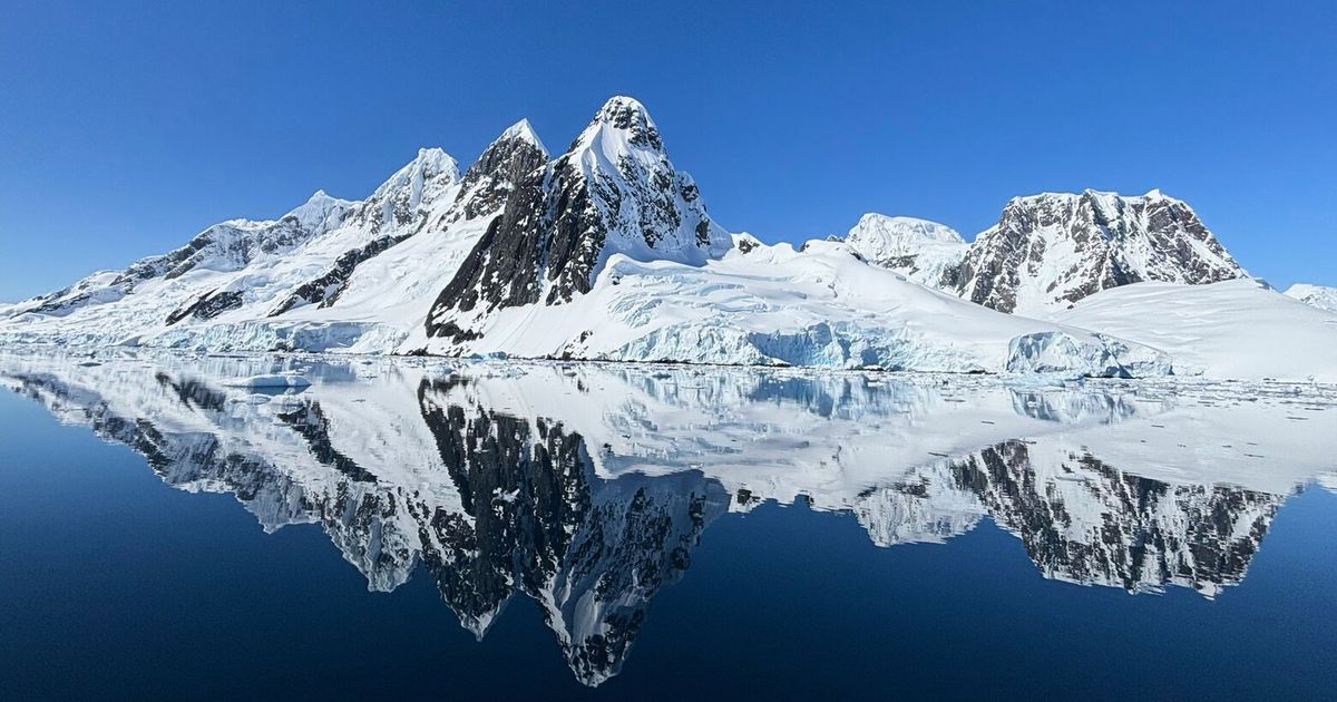 In Antarctica, photos show a remote area teeming with life amid growing ...
