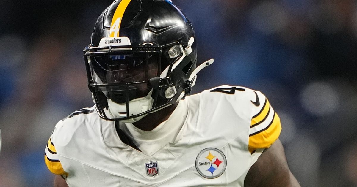 Steelers’ DK Metcalf gets into altercation with fan in Detroit | The ...