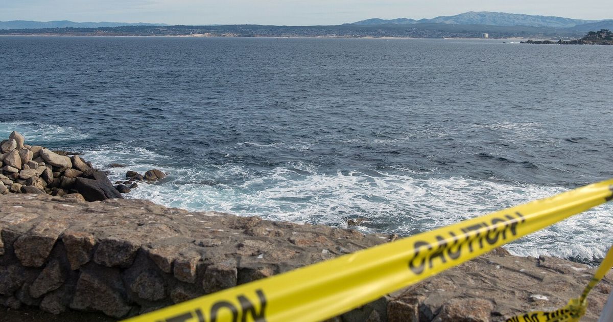 Swimmer believed to be victim of shark is found dead, a shark-deterrent ...