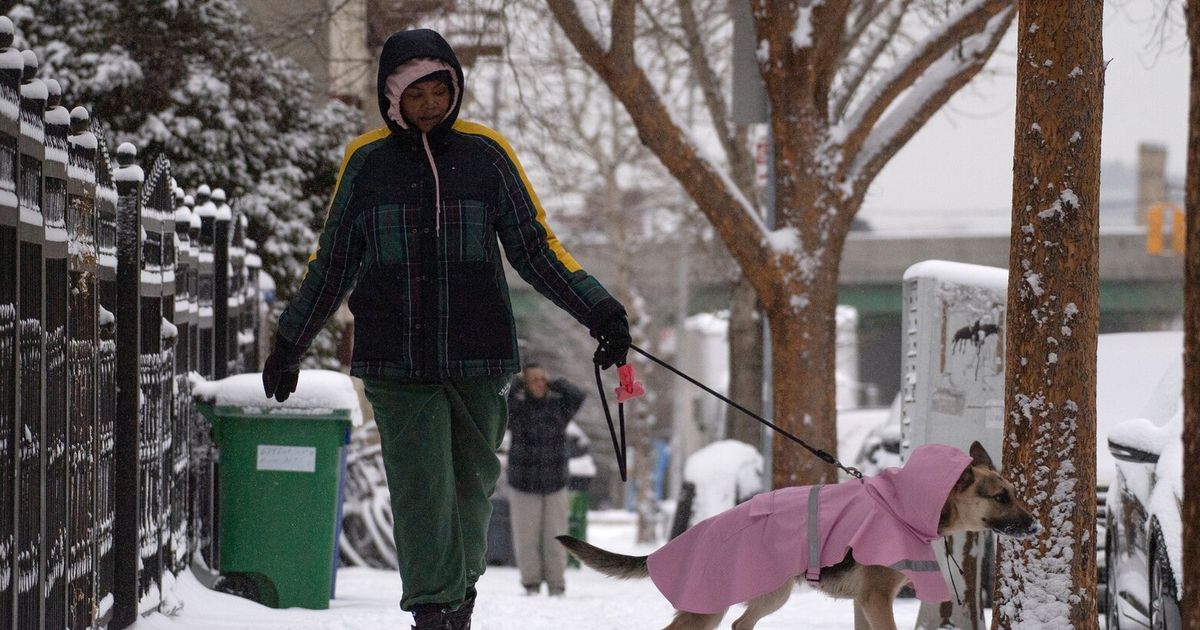 Winter storm brings blizzard conditions and dangerous wind chills | The ...