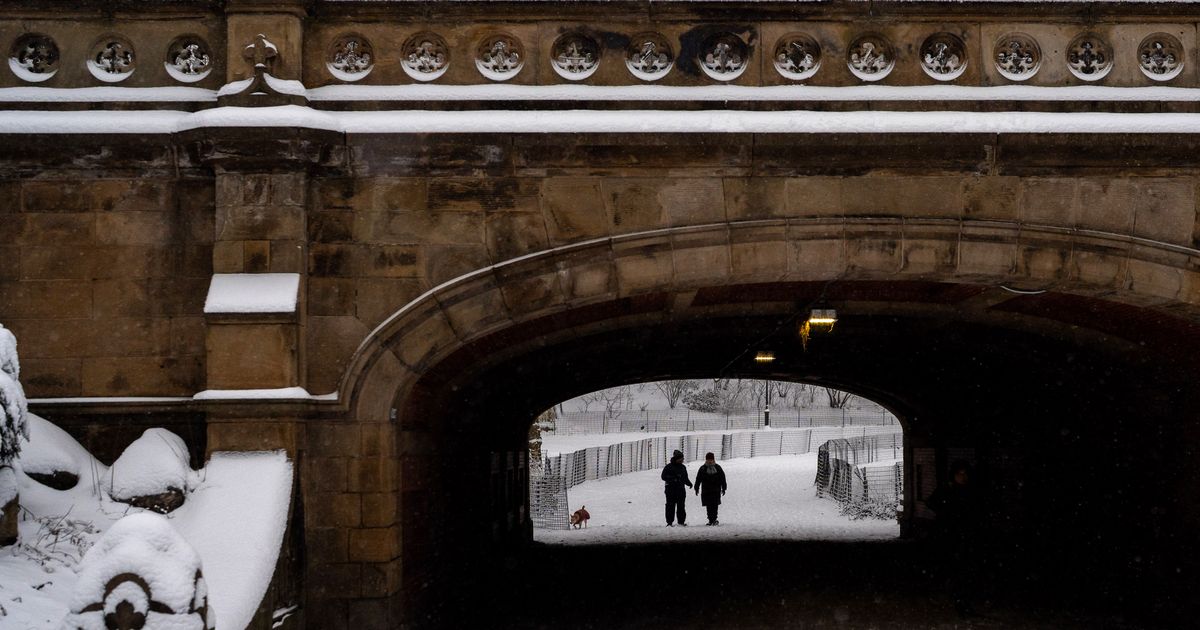New York receives its heaviest snowfall in nearly 4 years | The Seattle ...