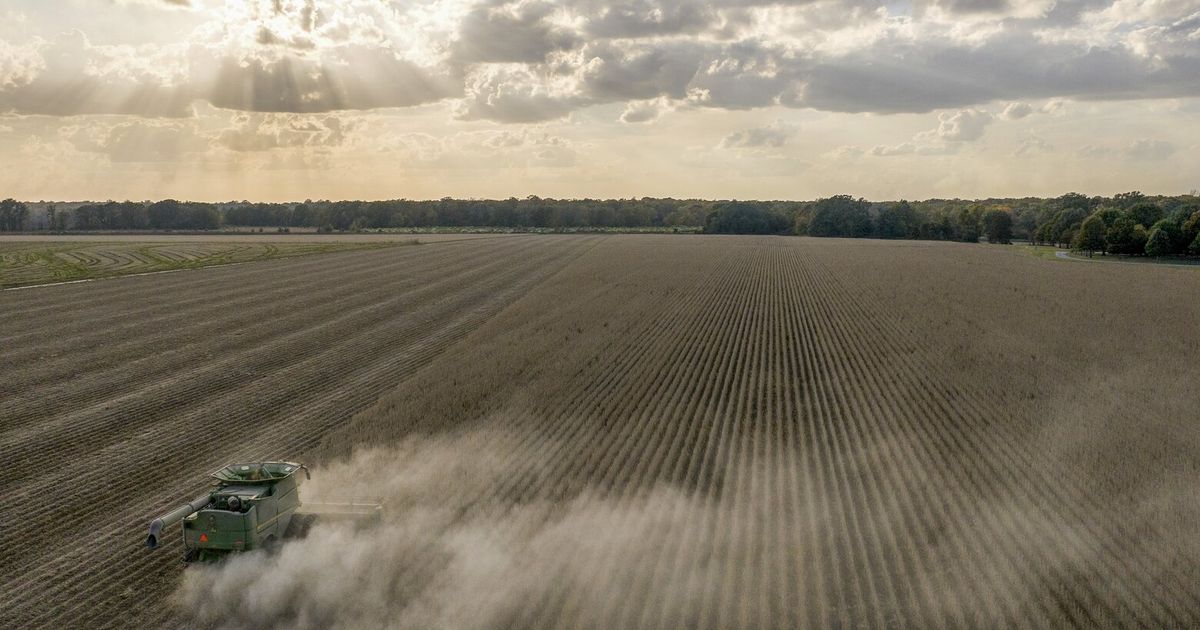 A study is retracted, renewing concerns about the weedkiller Roundup ...