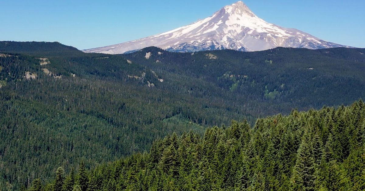 Preserve forests; demand the ‘Roadless Rule’ remains intact | The ...