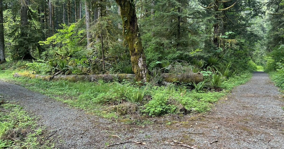 5 snow-free winter hikes within an hour of Seattle | The Seattle Times