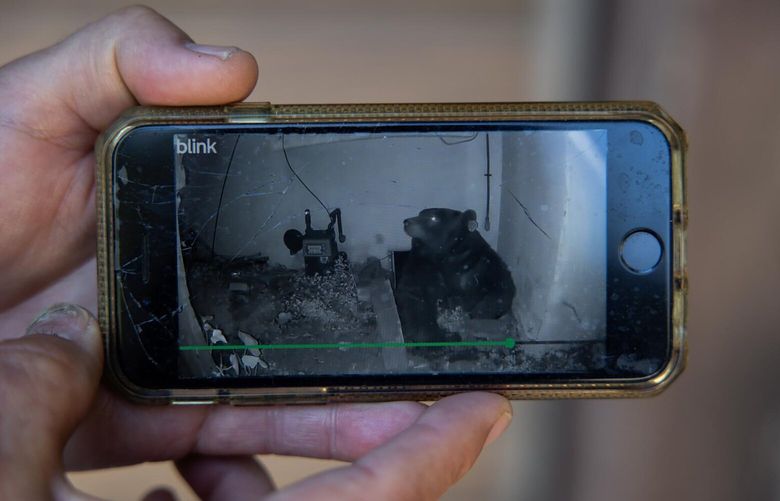 Andrea Flores | The Seattle Times