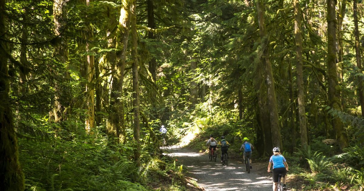 King County Parks oversight lacking as grants increase, audit finds ...