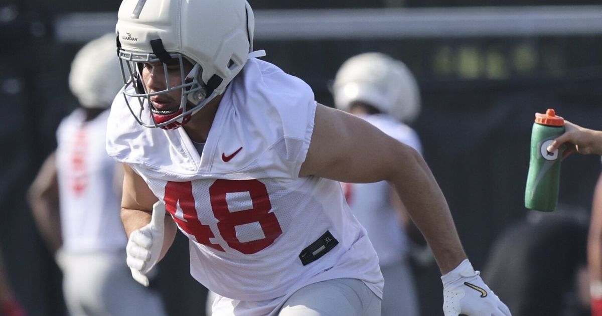 Washington Huskies land Ohio State edge rusher Logan George in transfer ...