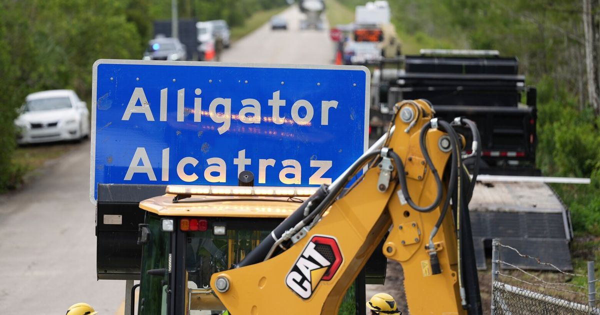 Immigrant detainee at ‘Alligator Alcatraz’ agrees to leave US, asks ...