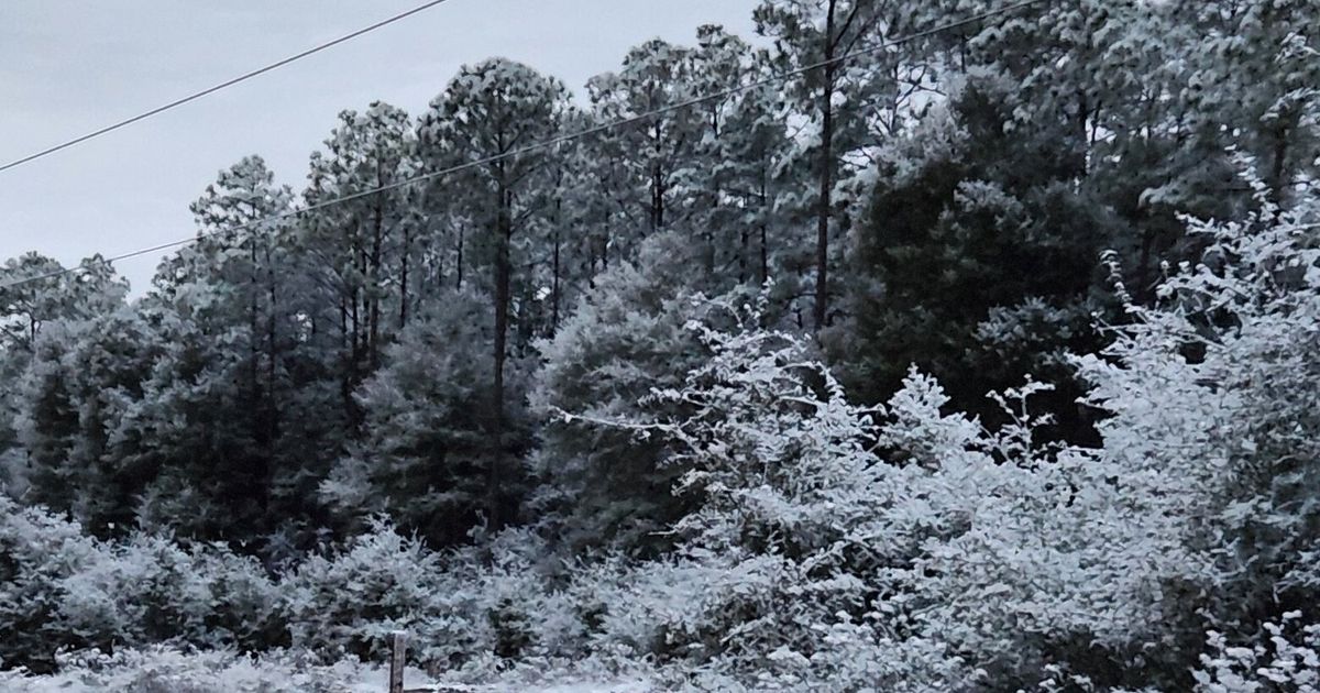 Massive 100-vehicle pileup in Michigan as snowstorm moves across the ...