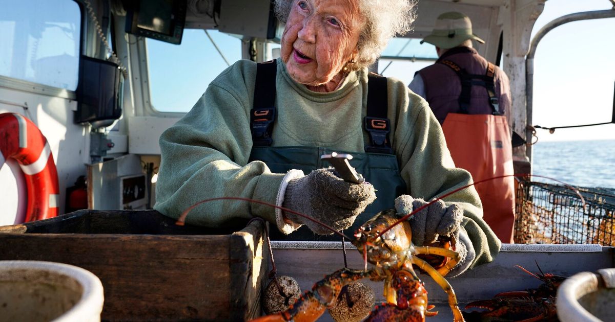 Maine’s ‘lobster lady’ Virginia Oliver, who worked decades in the ...