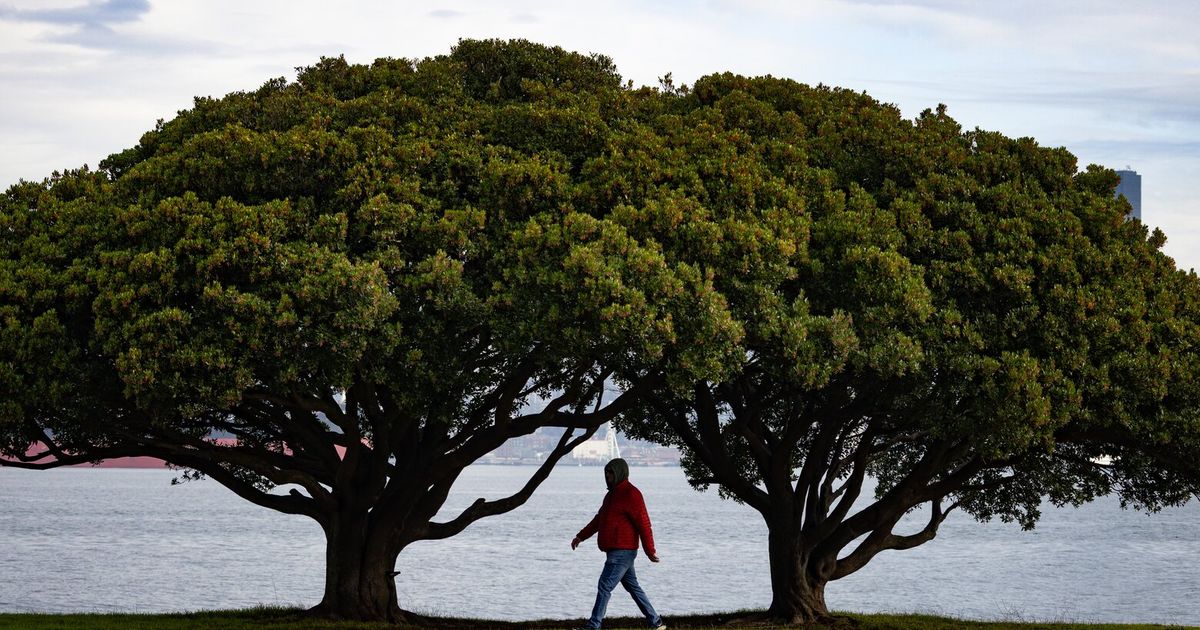 Seattle weather: record dry spell to come to an end | The Seattle Times