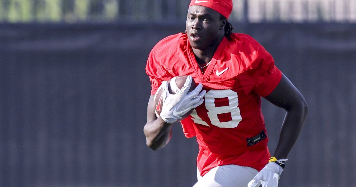 Washington Huskies land receiver from Ohio State | The Seattle Times