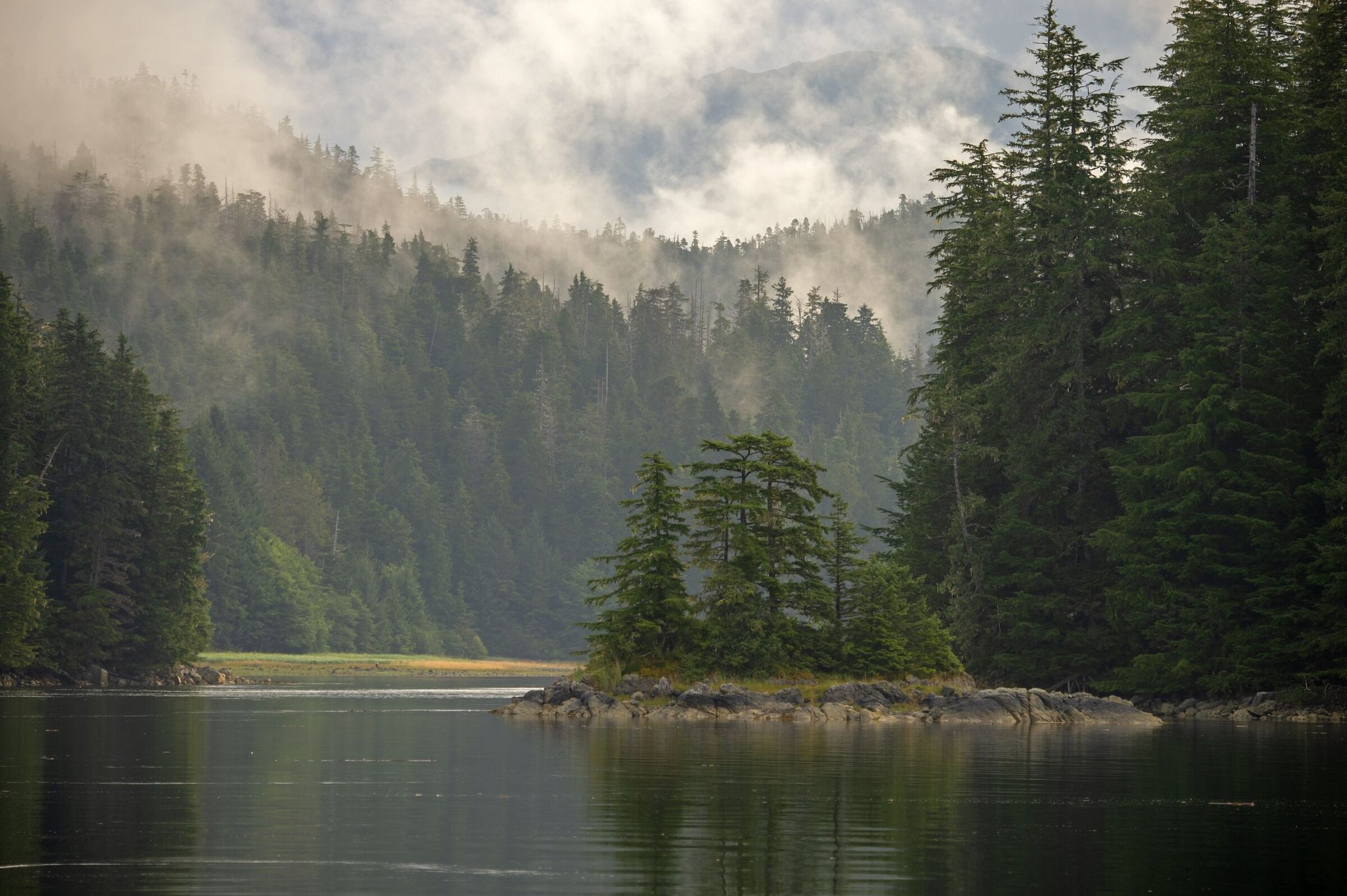 Trump Regime Targets The Tongass National Forest - Pictures Tell It All ...