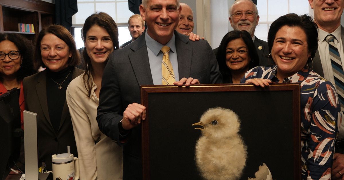 In a divided Congress, WA’s members share a baby chick | The Seattle Times