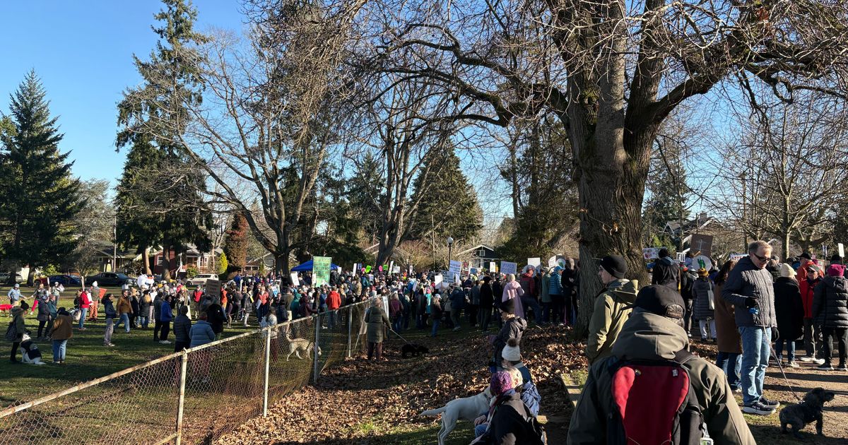 Killing of man in Minneapolis by federal agents fuels Seattle protests ...