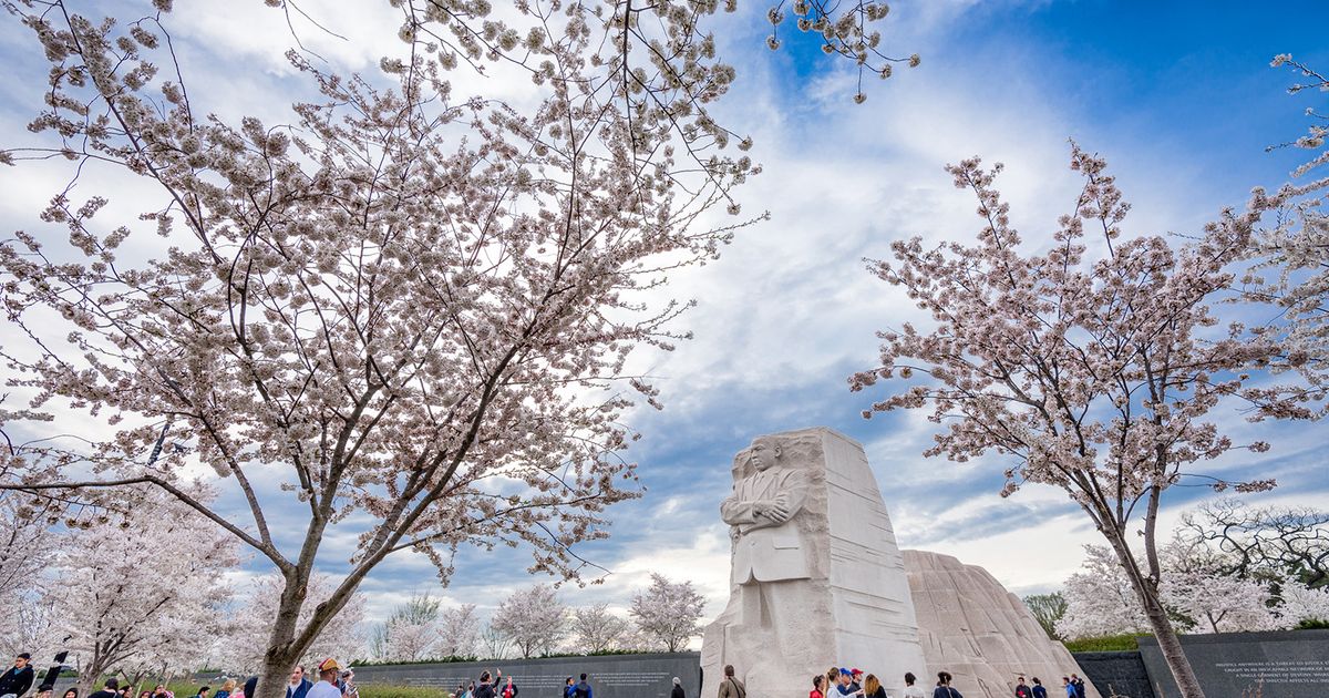 Model MLK Jr. and ask: What am I doing for others? | The Seattle Times