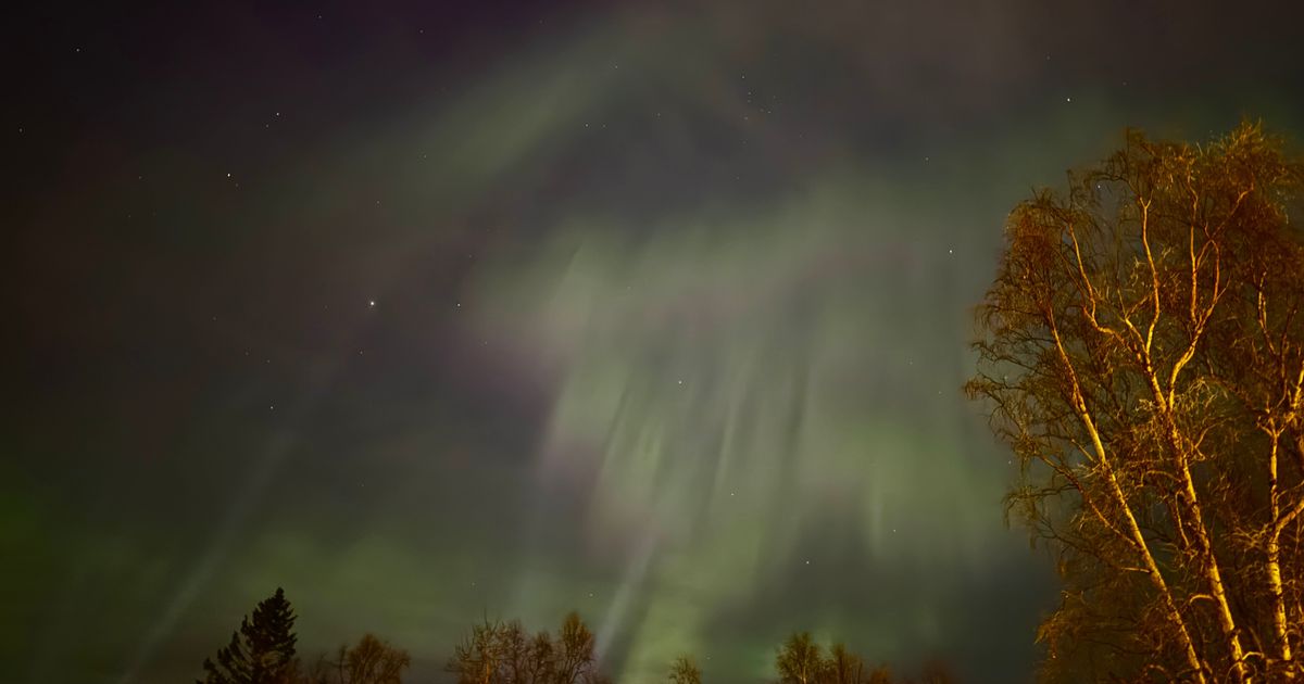 Aurora lights up Alaska skies with stunning green and red display | The ...