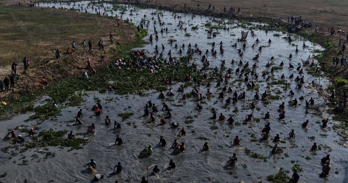 Photos of a community catch in an Indian fishing village marking the ...