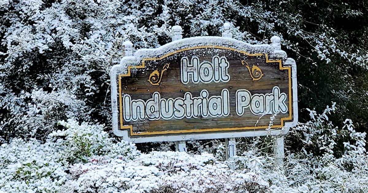 Small part of Sunshine State becomes Snowy State as Florida gets snow ...