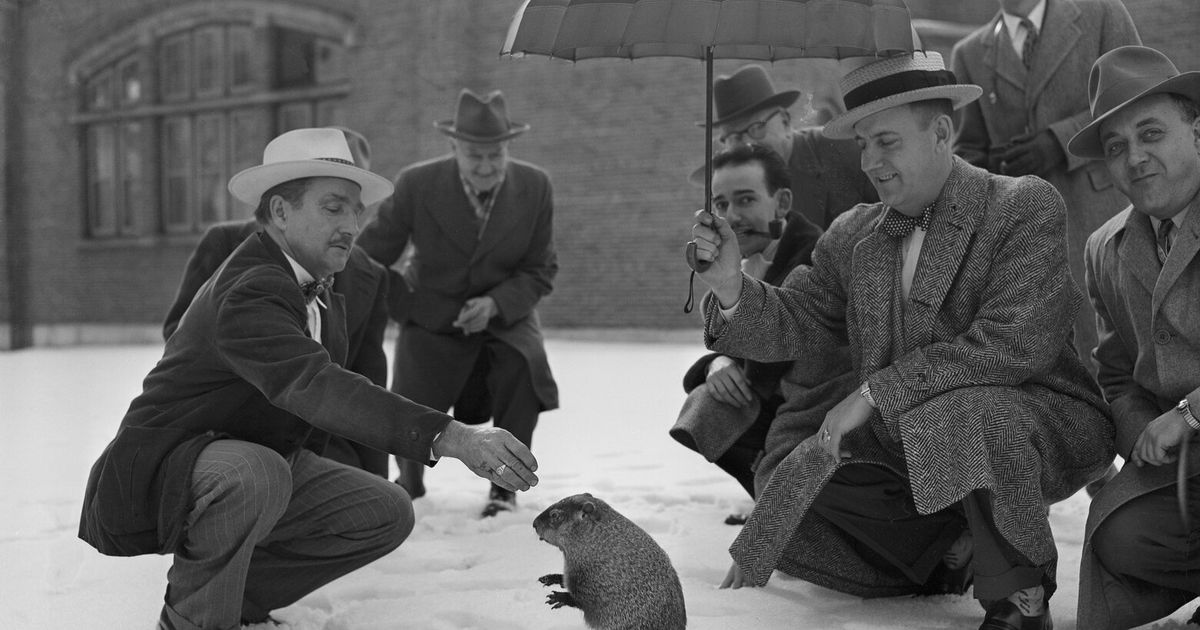 How did Groundhog Day get started? What to know about annual tradition ...