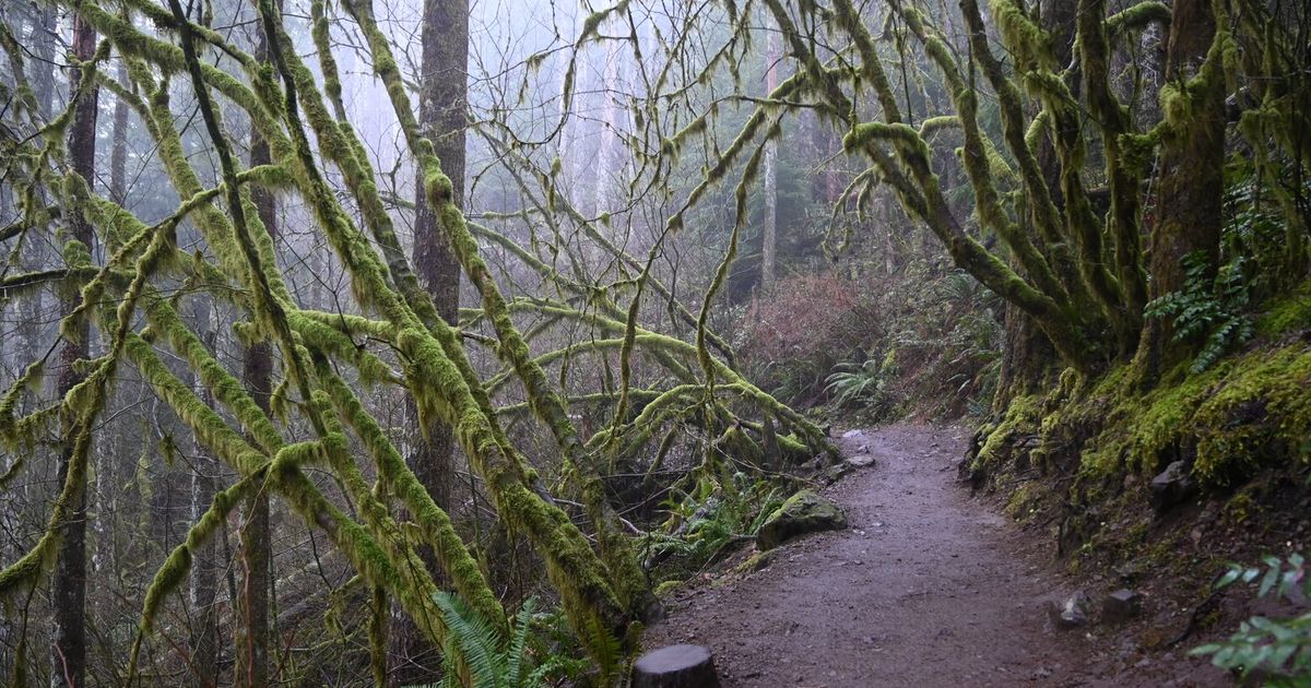 Rattlesnake Ledge trail, popular WA hike, has ‘ghost town’ ties | The ...