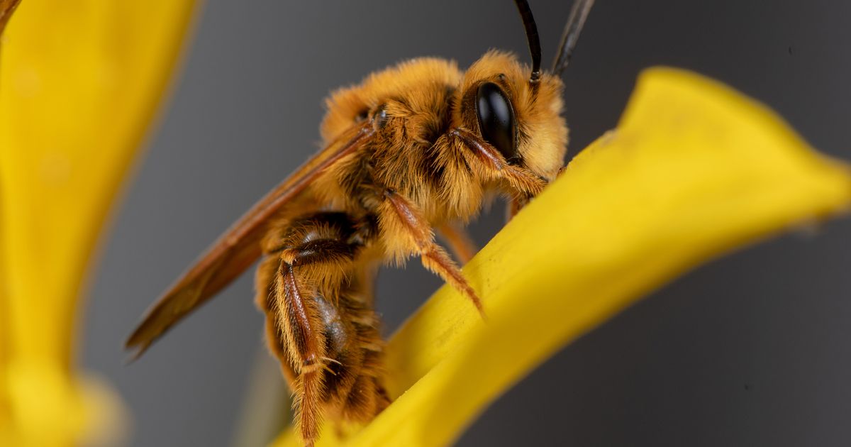 A California photographer is on a quest to photograph hundreds of ...