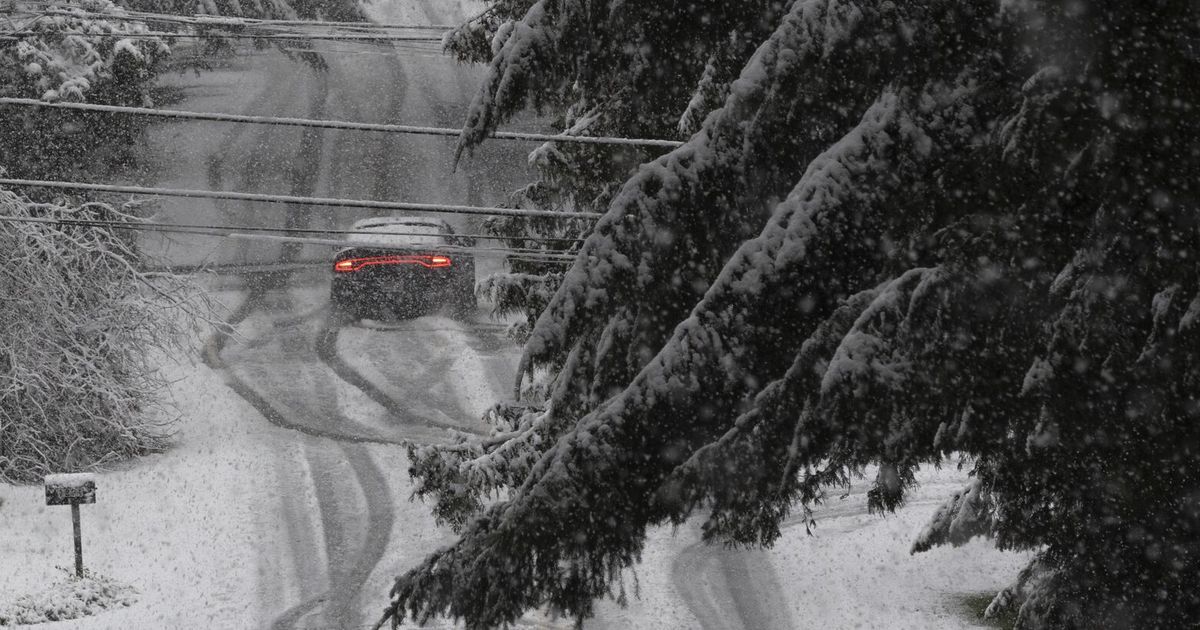 Photos: Snow falls in Seattle | The Seattle Times