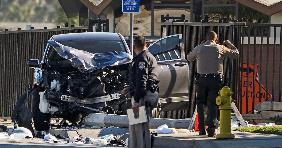 Driver pleads guilty to causing wrong-way crash that led to death of LA ...