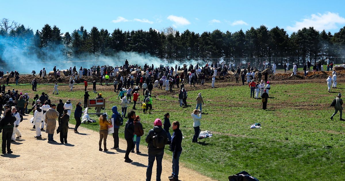 Animal rescue group says it bought 1,500 beagles from Wisconsin ...