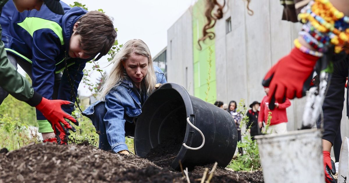 New schoolyard forest in Seattle teaches ecology, personal agency and ...