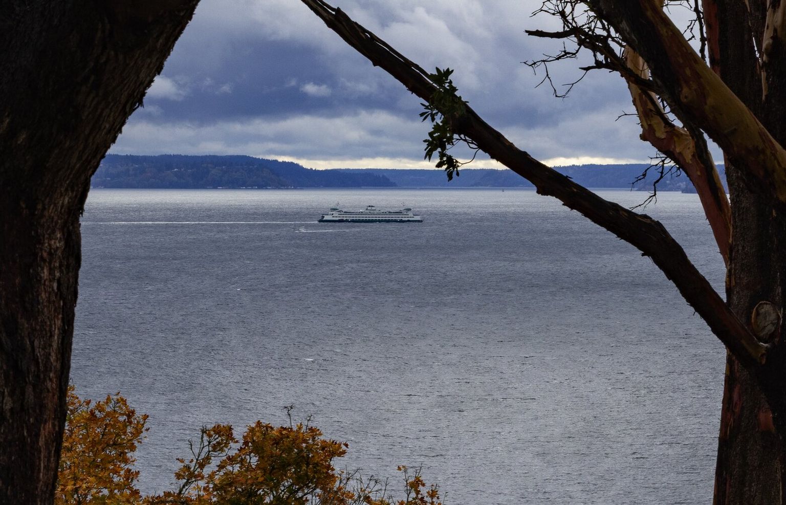 Puget Sound | The Seattle Times