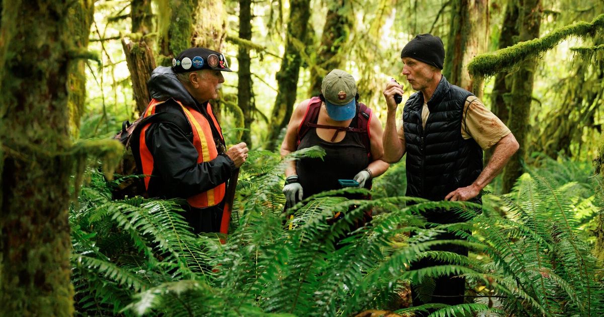 Elwha forest parcel saved by a unique effort | The Seattle Times