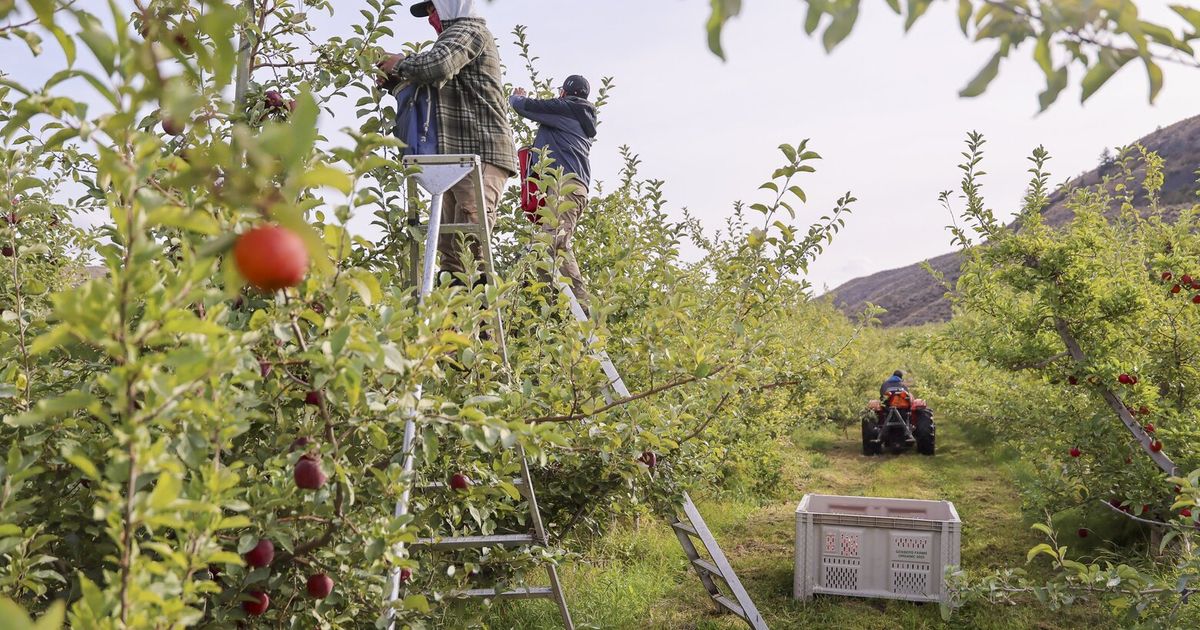 House farm bill gains win for WA specialty crops, but Senate fight ...