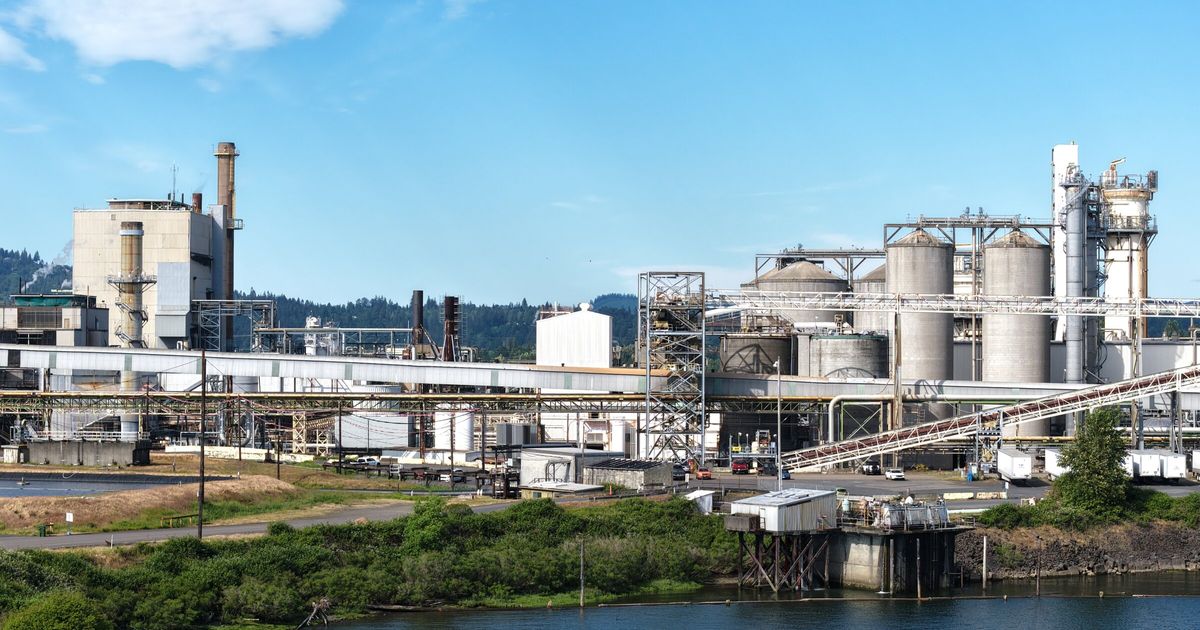 Water contaminated by Longview implosion flushed through ditch system ...