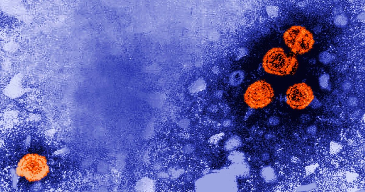 Experimental hepatitis B drug may offer ‘functional cure’ for some ...