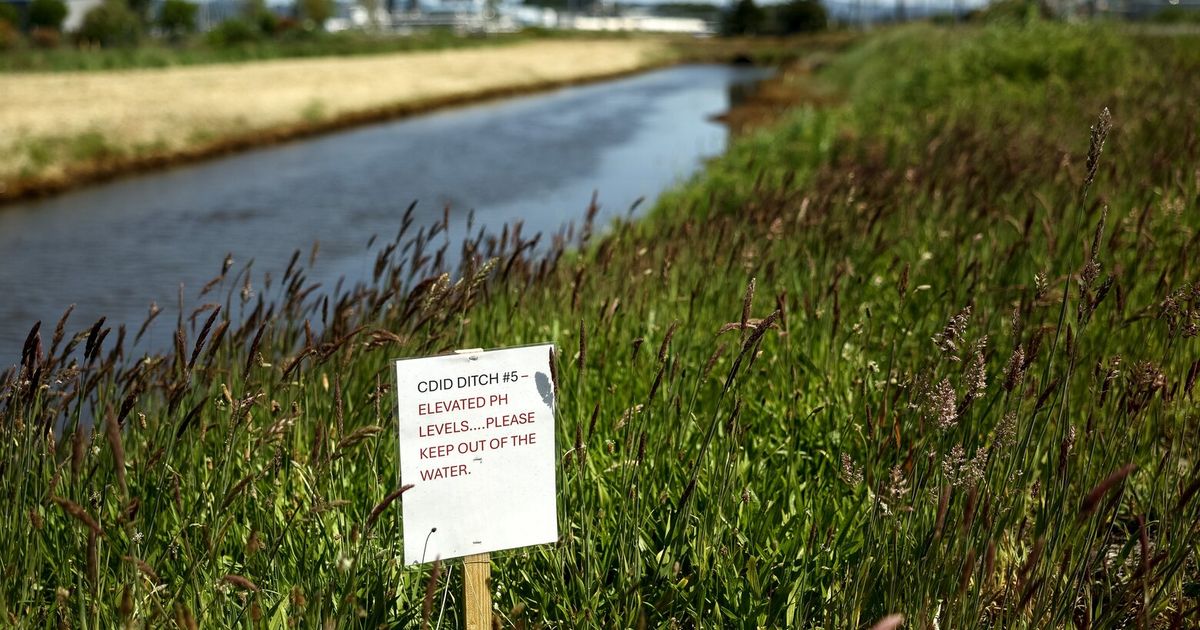 Longview dead fish count grows eightfold after pulp mill disaster | The ...