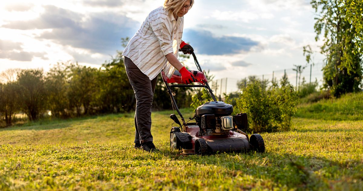 Ask Angi: What are the most overlooked yard maintenance tasks? | The ...